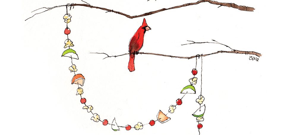 December 2021 - PineStraw Magazine