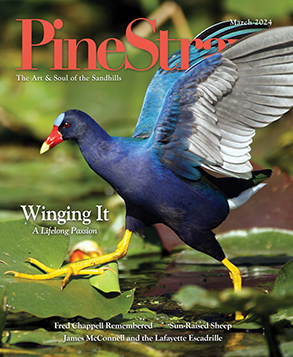 Current Issue - PineStraw Magazine